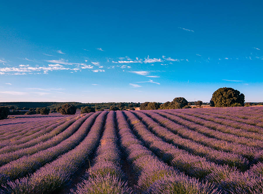El Vagón de Baides | Alojamiento Singular en Guadalajara